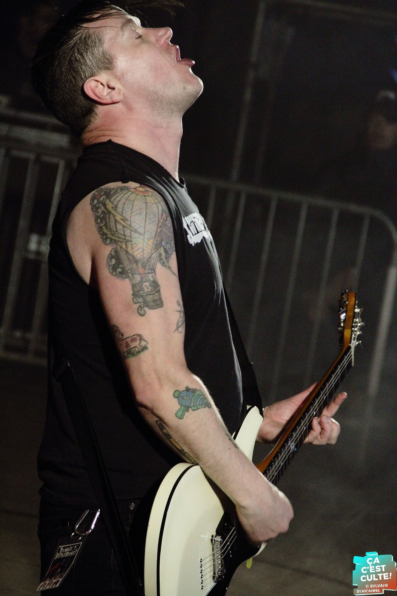 RAY CARLISLE / Teenage Bottlerocket - SK8.NET